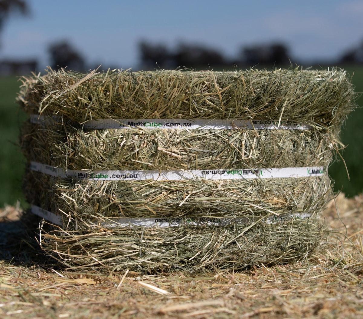 MultiCube Low Sugar Pressed Teff Hay – Griffith Feed and Grain